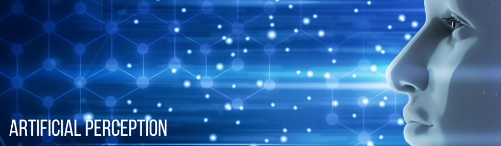 Understanding AI | Artificial Perception | Exploring the world of AI